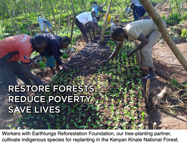 Give the Gift of Trees - Climate Action Now